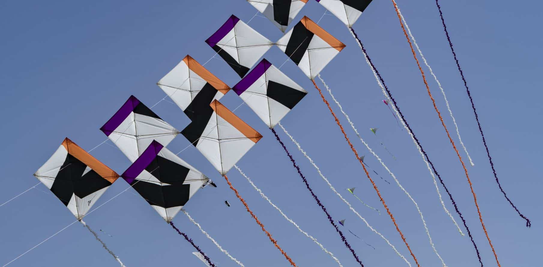 Kite Flying Display: Fly High, Shine Bright - Colours of Redbridge